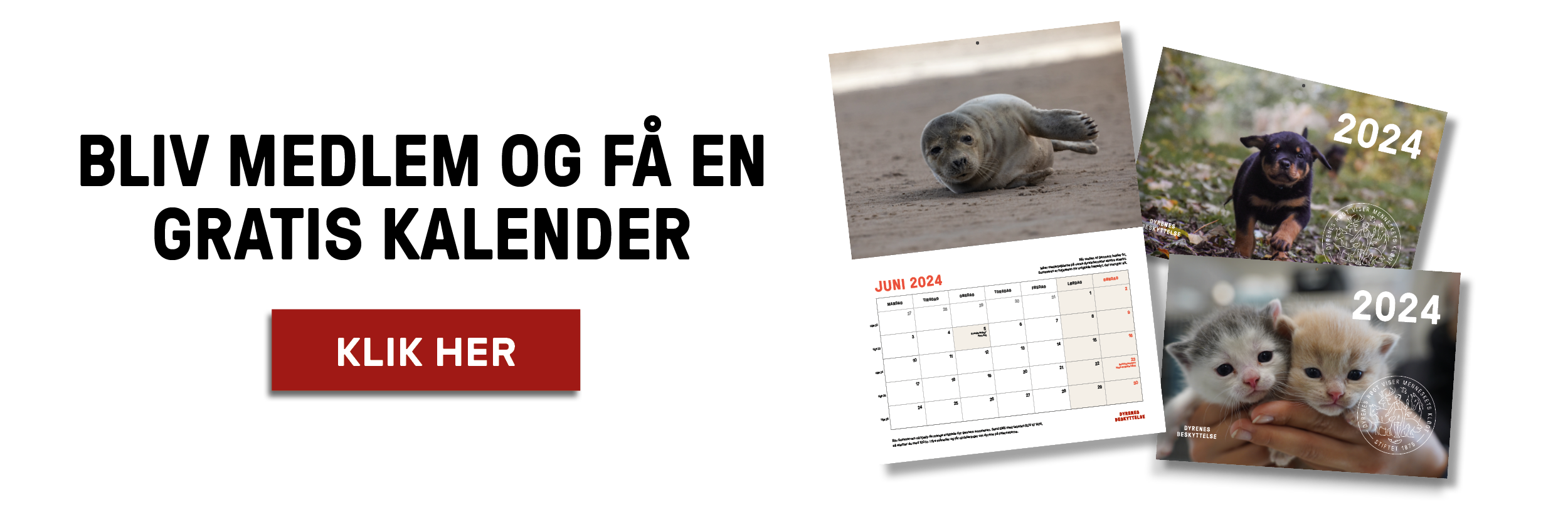 Dyrenes Beskyttelse kræver øjeblikkeligt stop for transporter efter afslørende undersøgelse ...