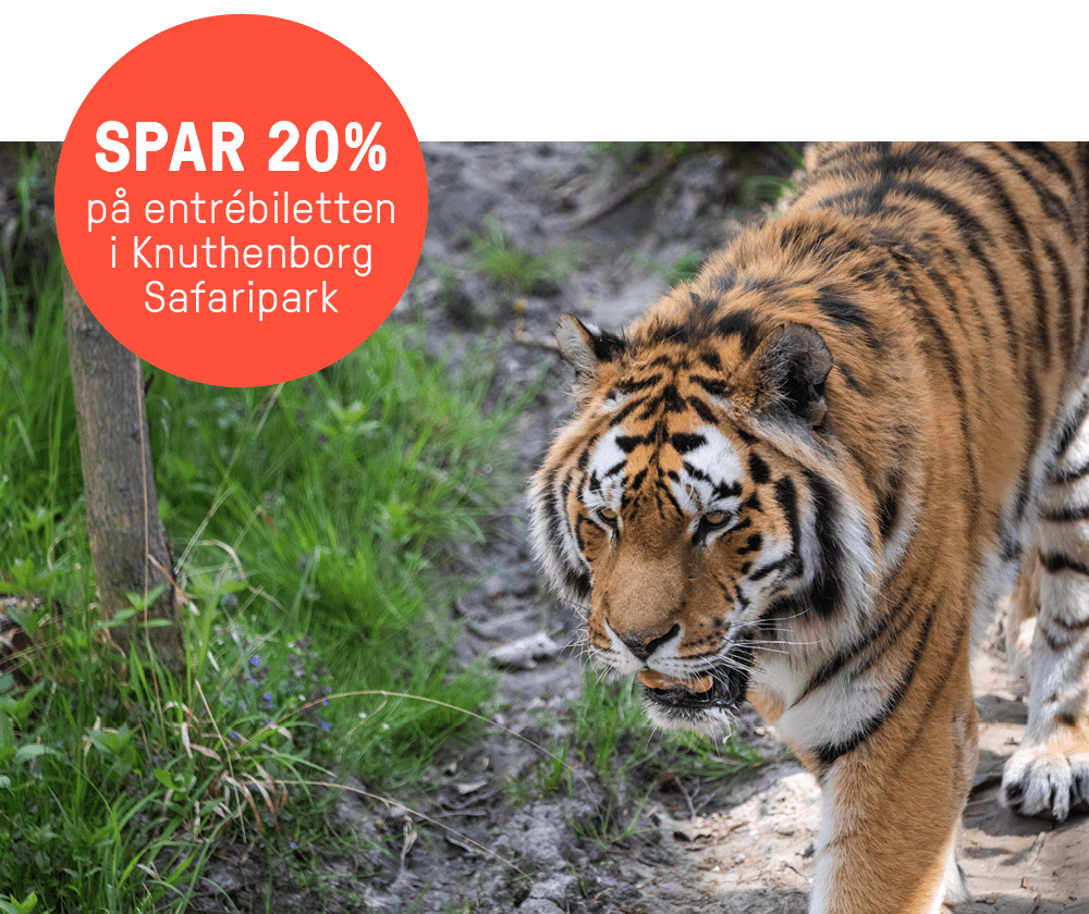 Book overnatning i Knuthenborg Safaripark med 20% rabat | Dyrenes ...