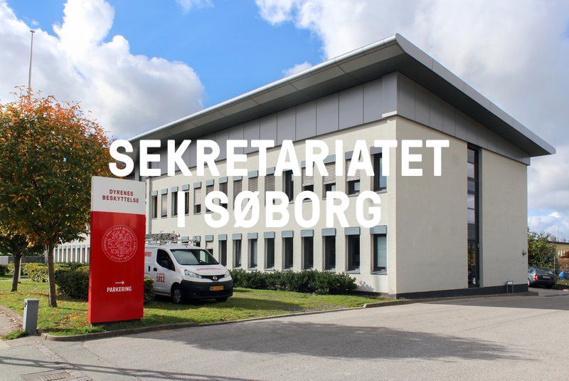 Kontakt os | Dyrenes Beskyttelse